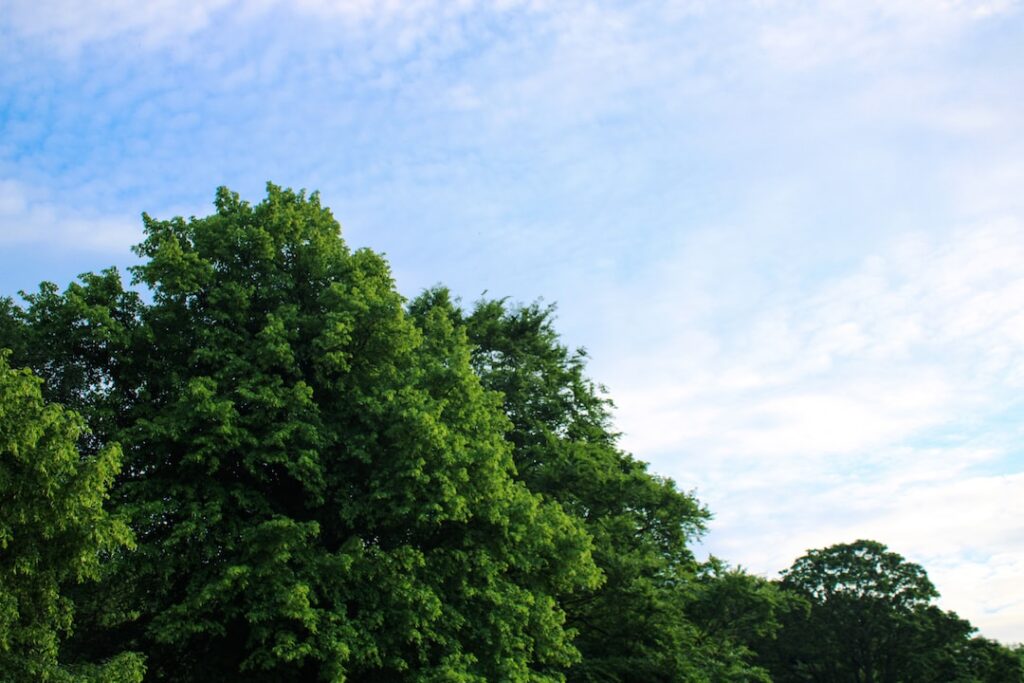 Coil Corrosion Prevention: Tips and Techniques - Biz News Reporter