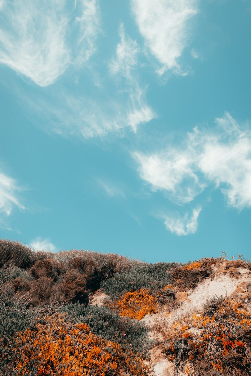 Navigating Survival Situations in the Wilderness: Essential Skills to ...